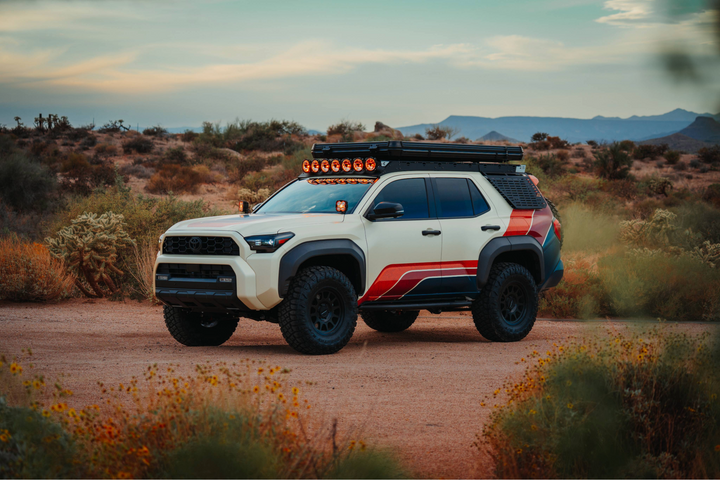 A Race Against Blindness Charity Rating | Detroit Chinatown